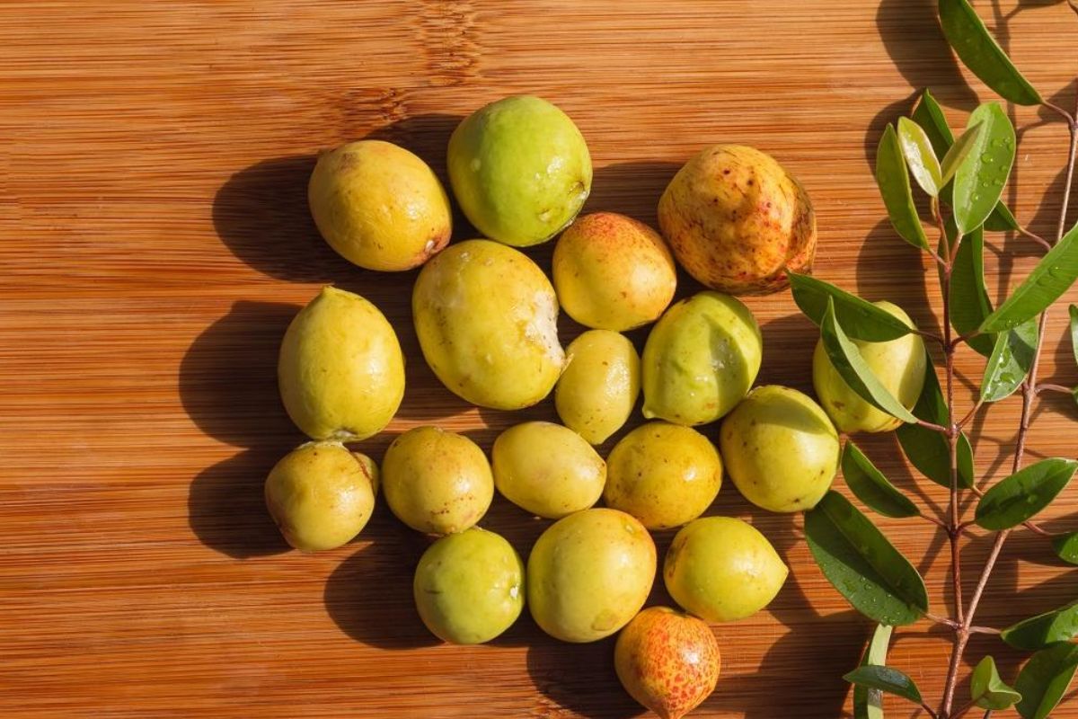 Mangaba: A Fruta Brasileira Repleta de Sabor Nutritivo ENERGIA ELEVADA