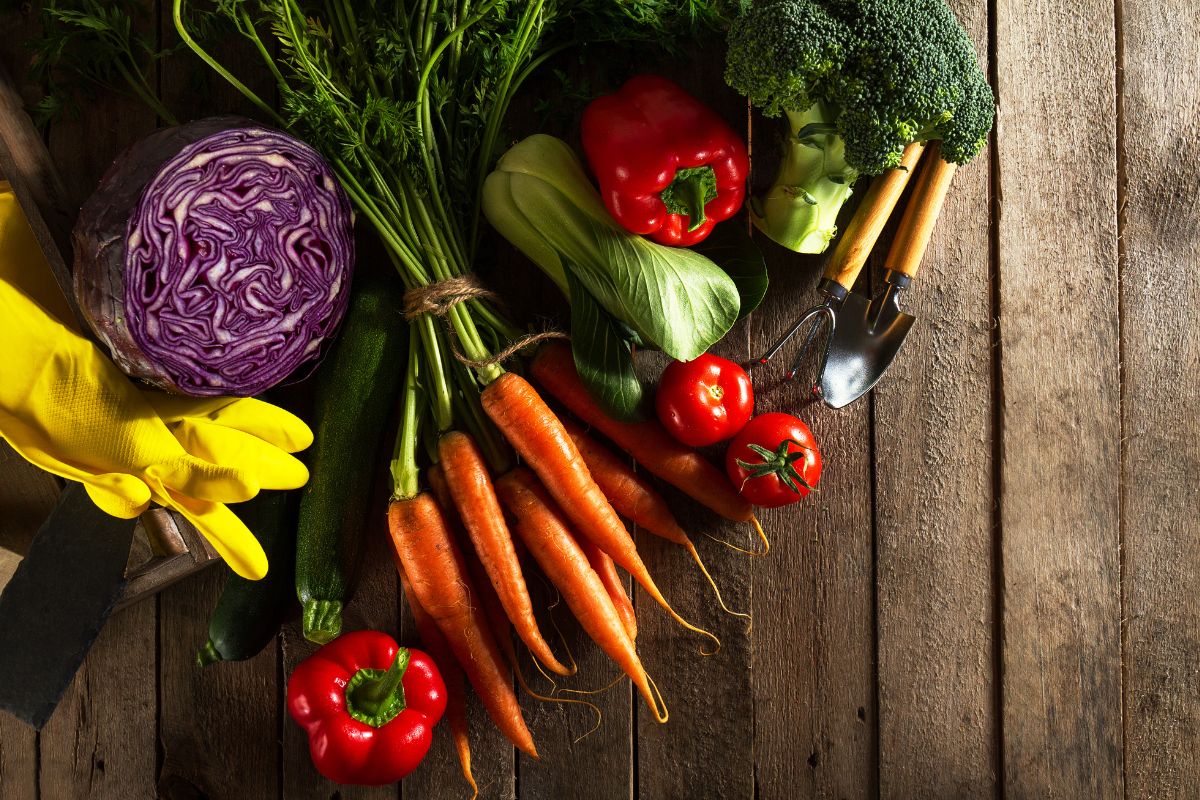Legumes: Dicas para Preparar e Conservar os Valores Nutricionais ...