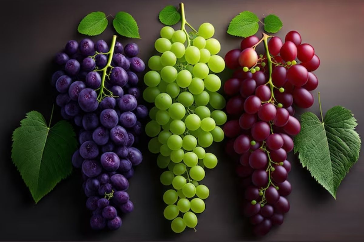 Uvas Verde e Roxa: Variedade das Cores Delícias para o Paladar ENERGIA ...