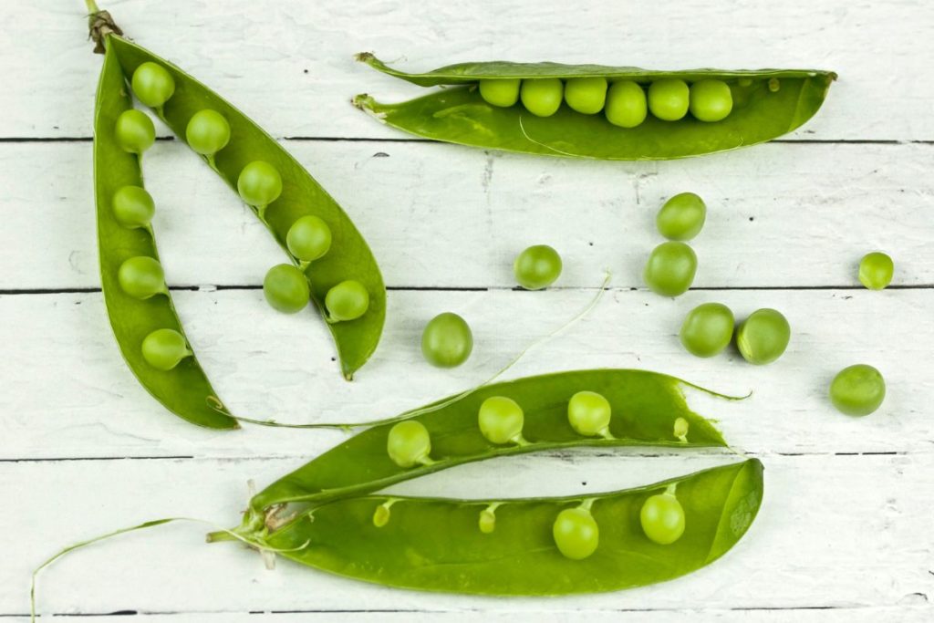 Ervilha: Descubra os Inúmeros Benefícios desse Superalimento ENERGIA ...